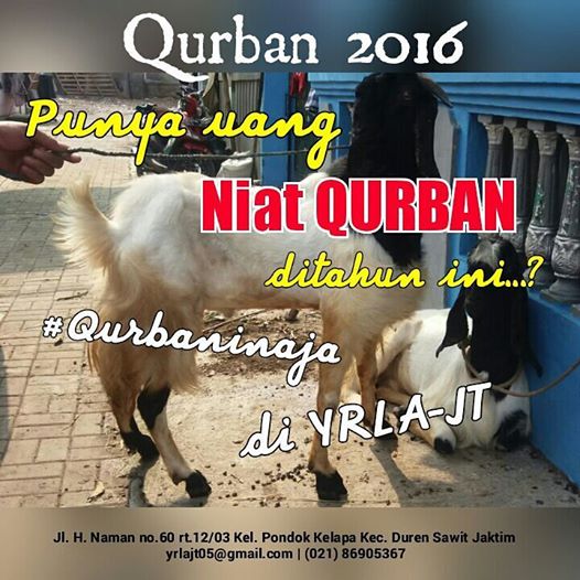 Kegiatan Pemotongan Hewan Qurban Bersama Anak Yatim • ERLAZET Foundation